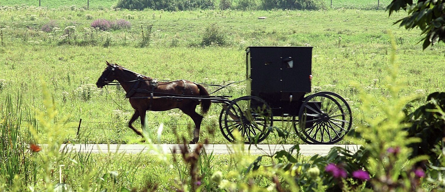 Shunning Religion - The University of Chicago Divinity School
