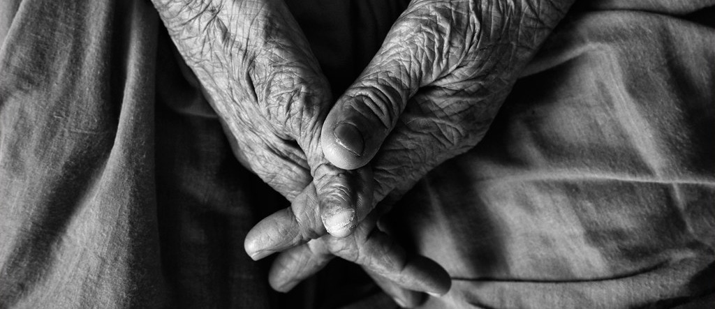 Blessings, History, and Pandemic Vulnerabilities - The University of ...